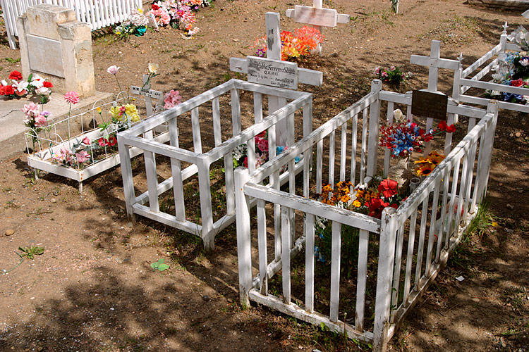 Culhane Family Photos