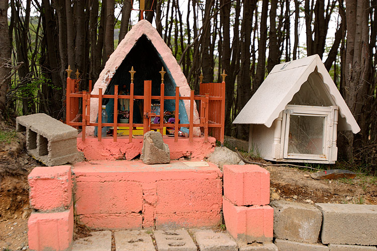 Culhane Family Photos