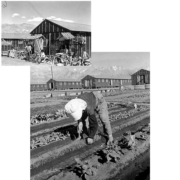 Culhane Family Photos